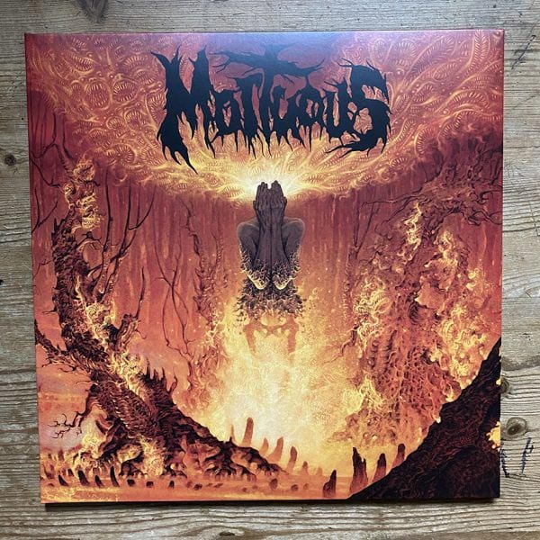 12'' Vinyl — Extremely Rotten Productions