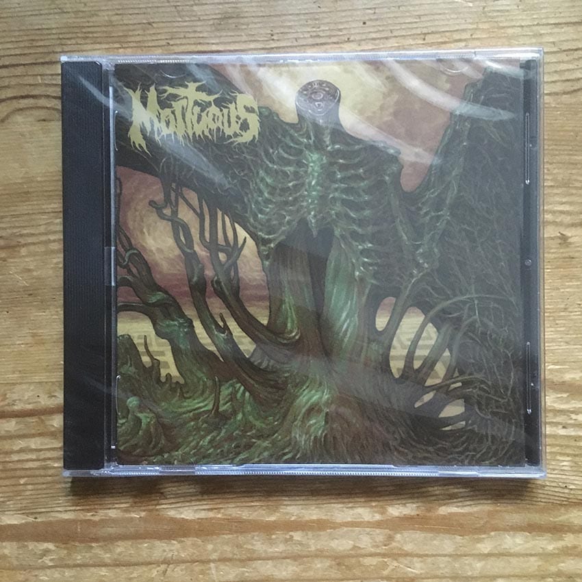 Extremely Rotten Productions — Page 3 of 12 — Extremely Rotten Productions